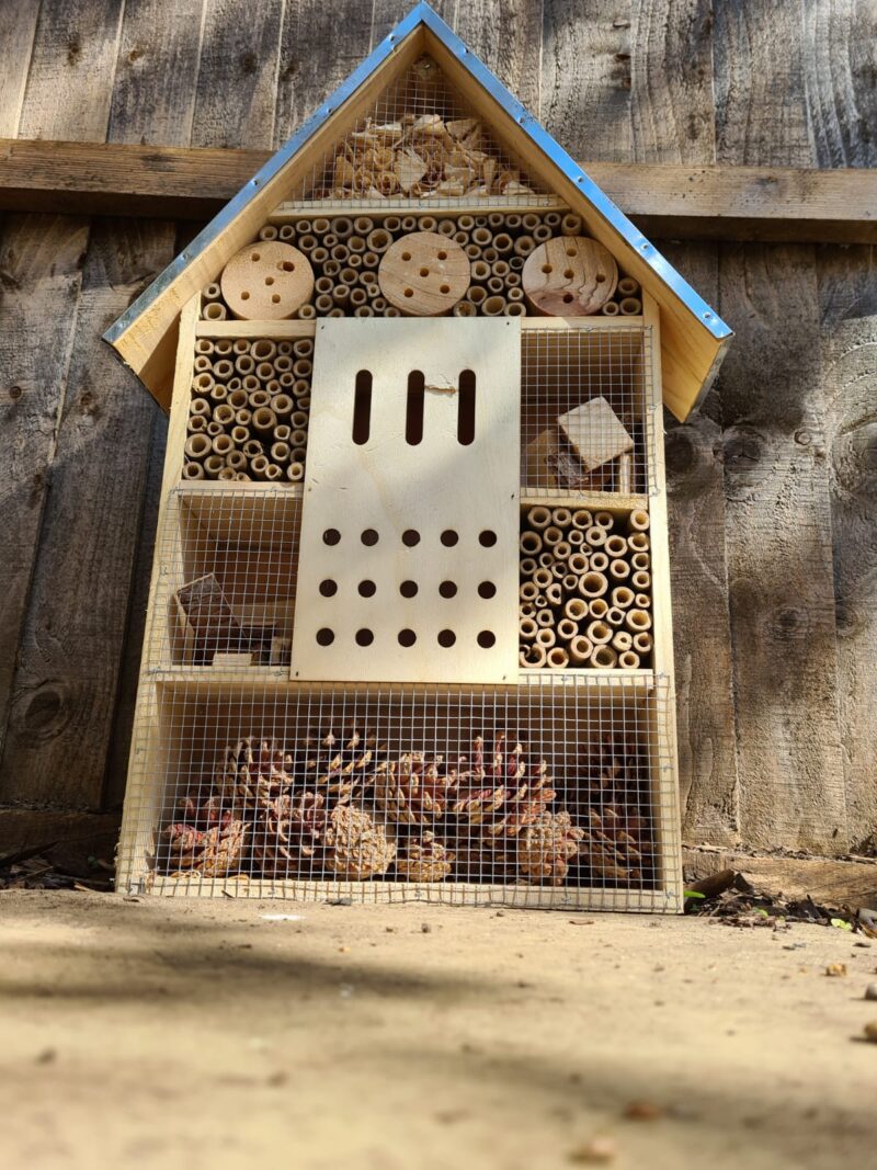 Gallery - Whiteley Preschool