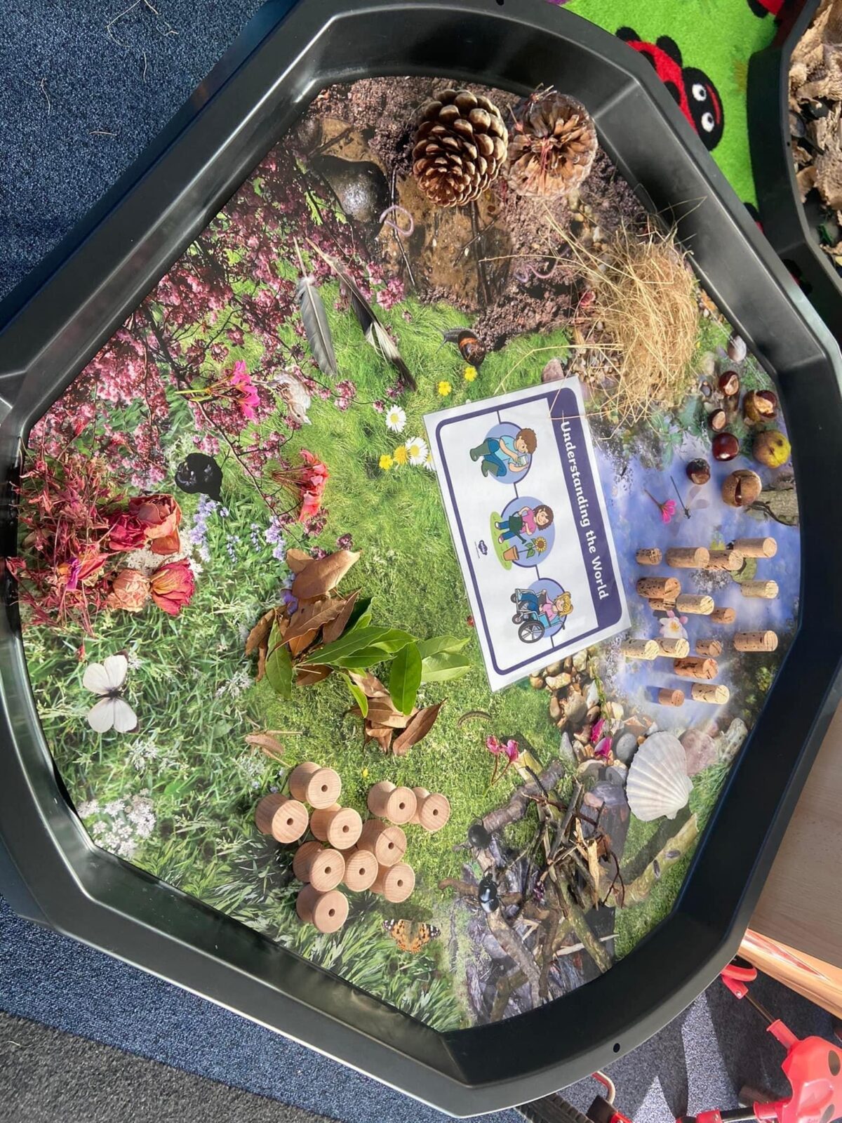 The Settings - Whiteley Preschool